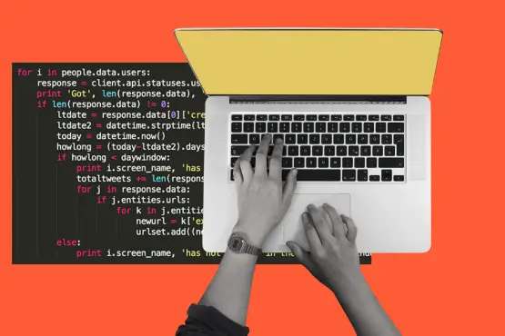 HotBeans Web development